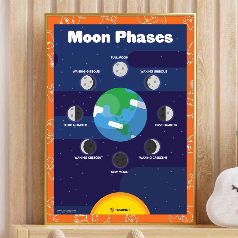 Moon Phases Poster Printable Chart